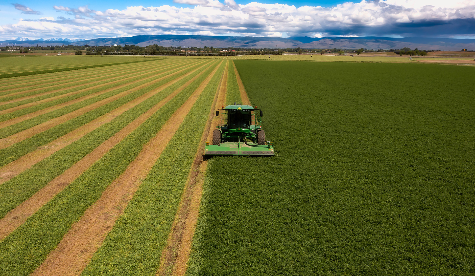 Timothy Hay - Ward Rugh | Kittias WA