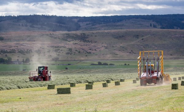 Timothy Hay - Ward Rugh | Kittias WA