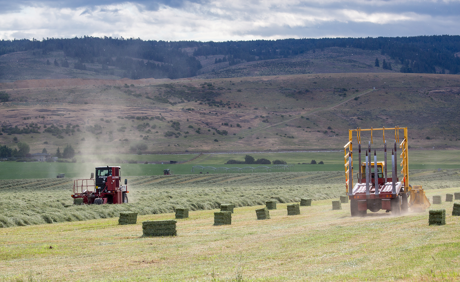 Timothy Hay - Ward Rugh | Kittias WA